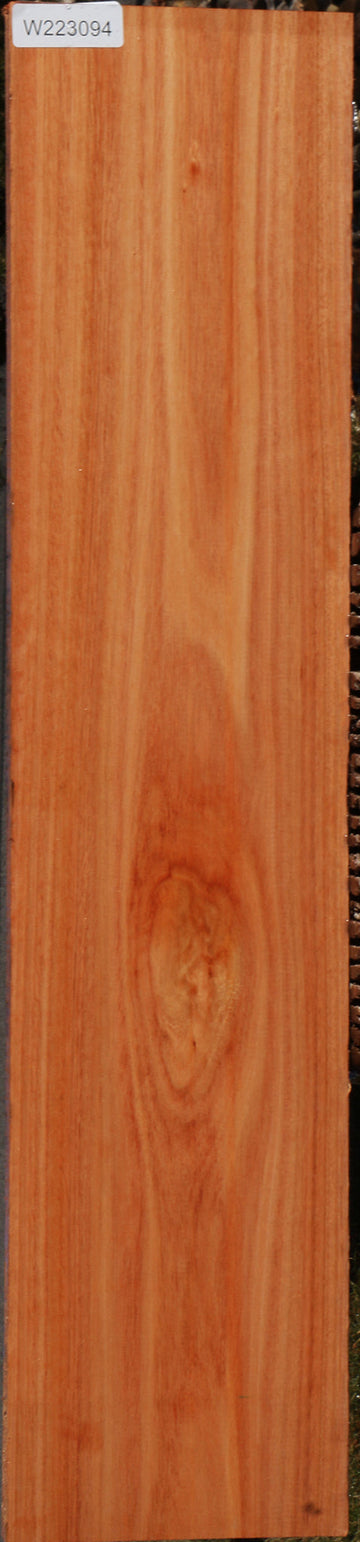 Red Grandis – Cook Woods