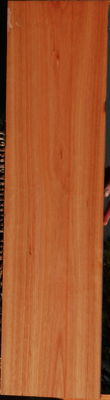 Red Grandis – Cook Woods