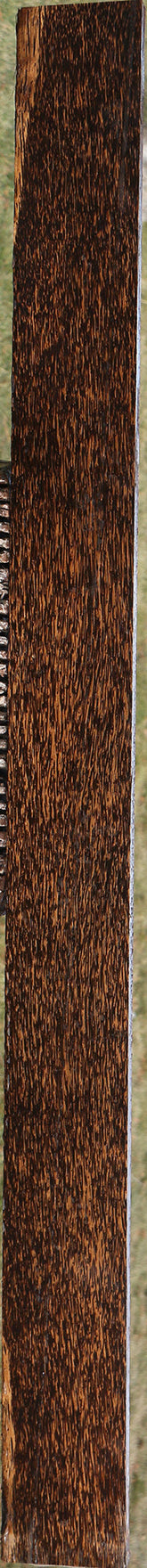Palm Wood – Cook Woods
