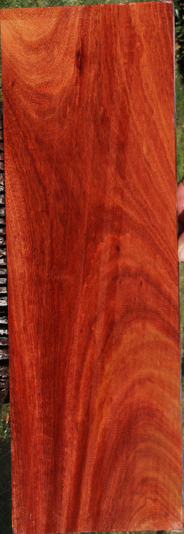Bloodwood – Cook Woods