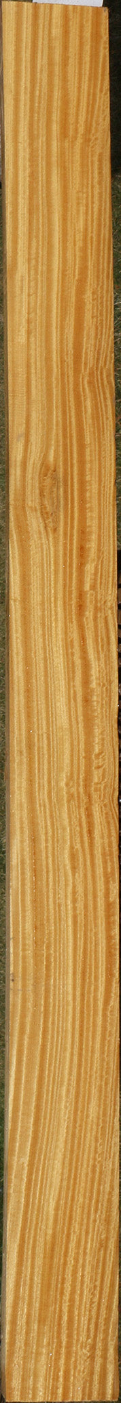 Ceylon Satinwood – Cook Woods