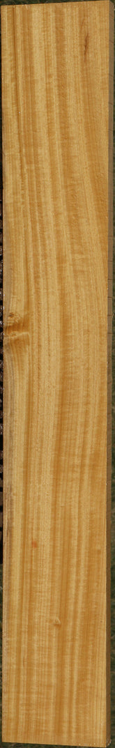 Ceylon Satinwood – Cook Woods