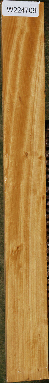 Ceylon Satinwood – Cook Woods