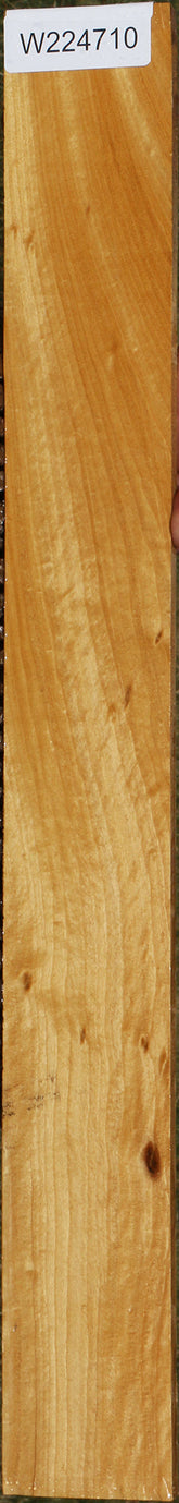 Ceylon Satinwood – Cook Woods