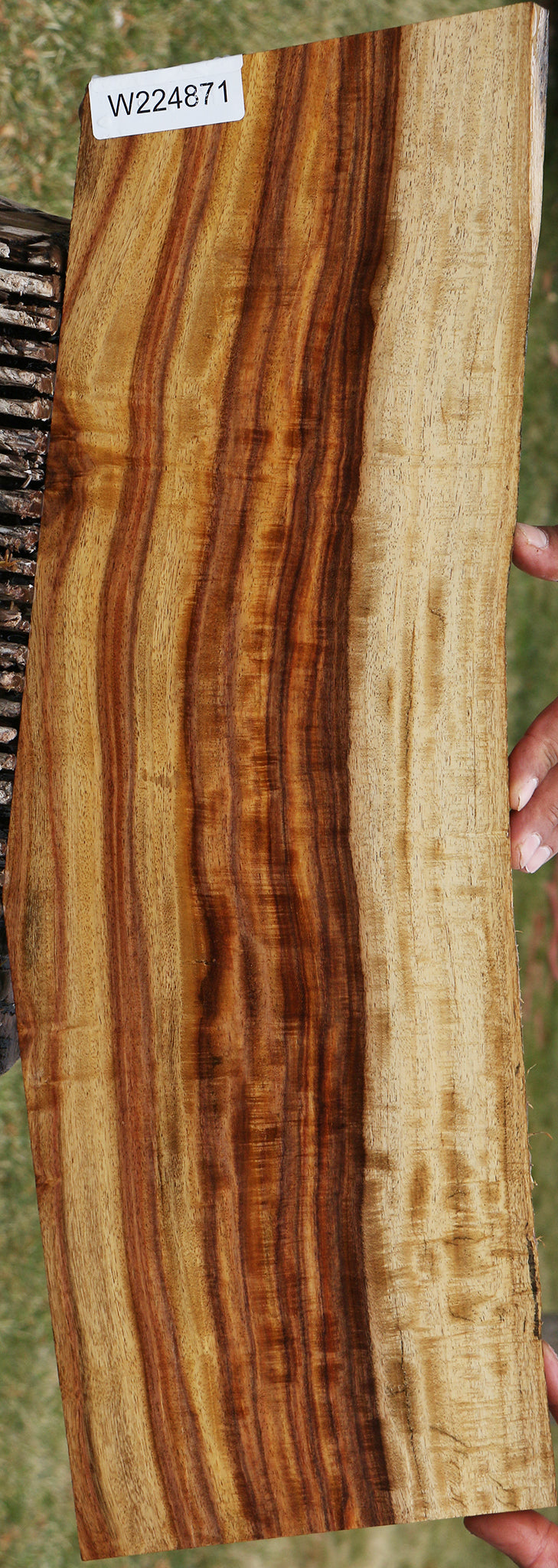 Instrument Wood – Cook Woods