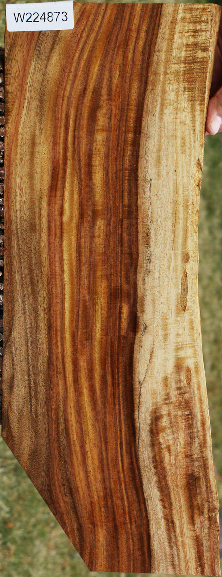 Instrument Wood – Cook Woods