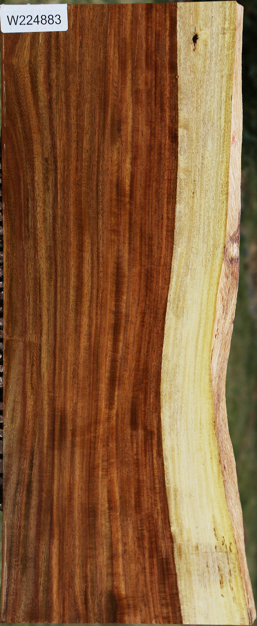 Instrument Wood – Cook Woods