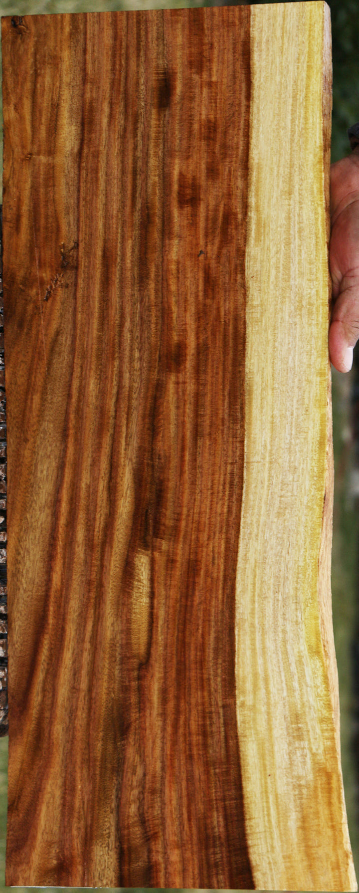 Instrument Wood – Cook Woods