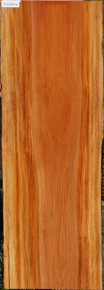 Peroba Rosa – Cook Woods