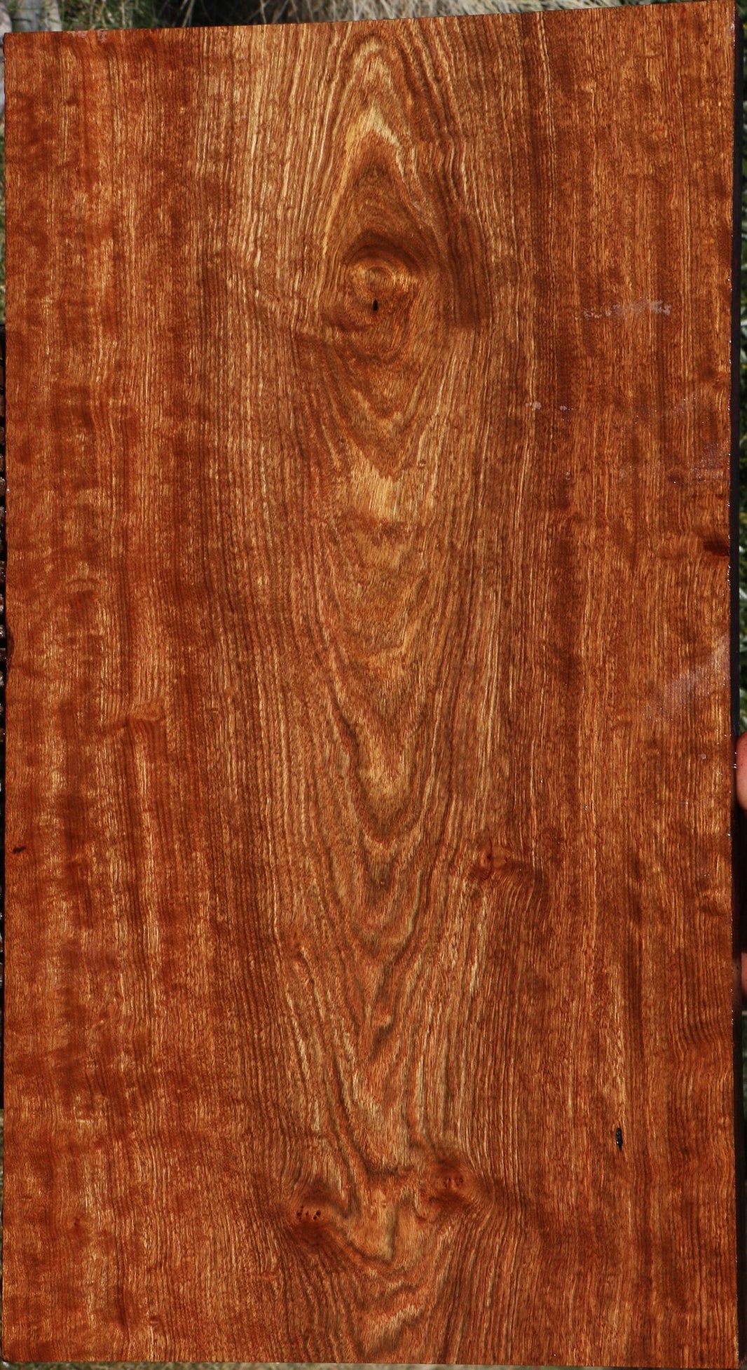Chechen – Cook Woods