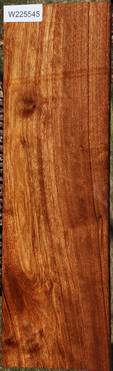 Chechen – Cook Woods
