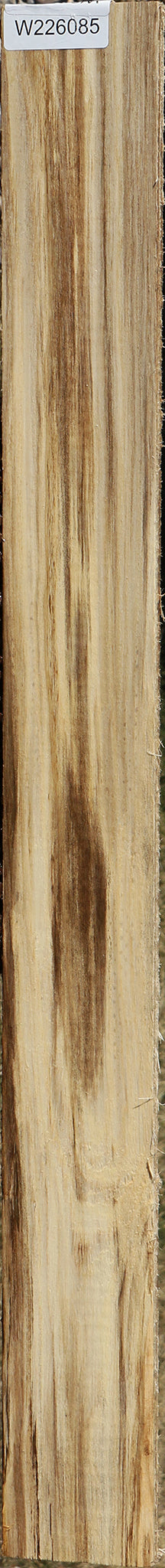 Spalted Hackberry Lumber – Cook Woods