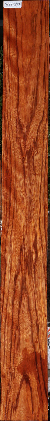 Ebiara – Cook Woods