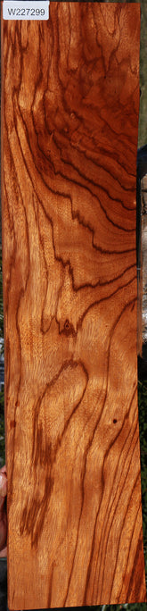 Ebiara – Cook Woods