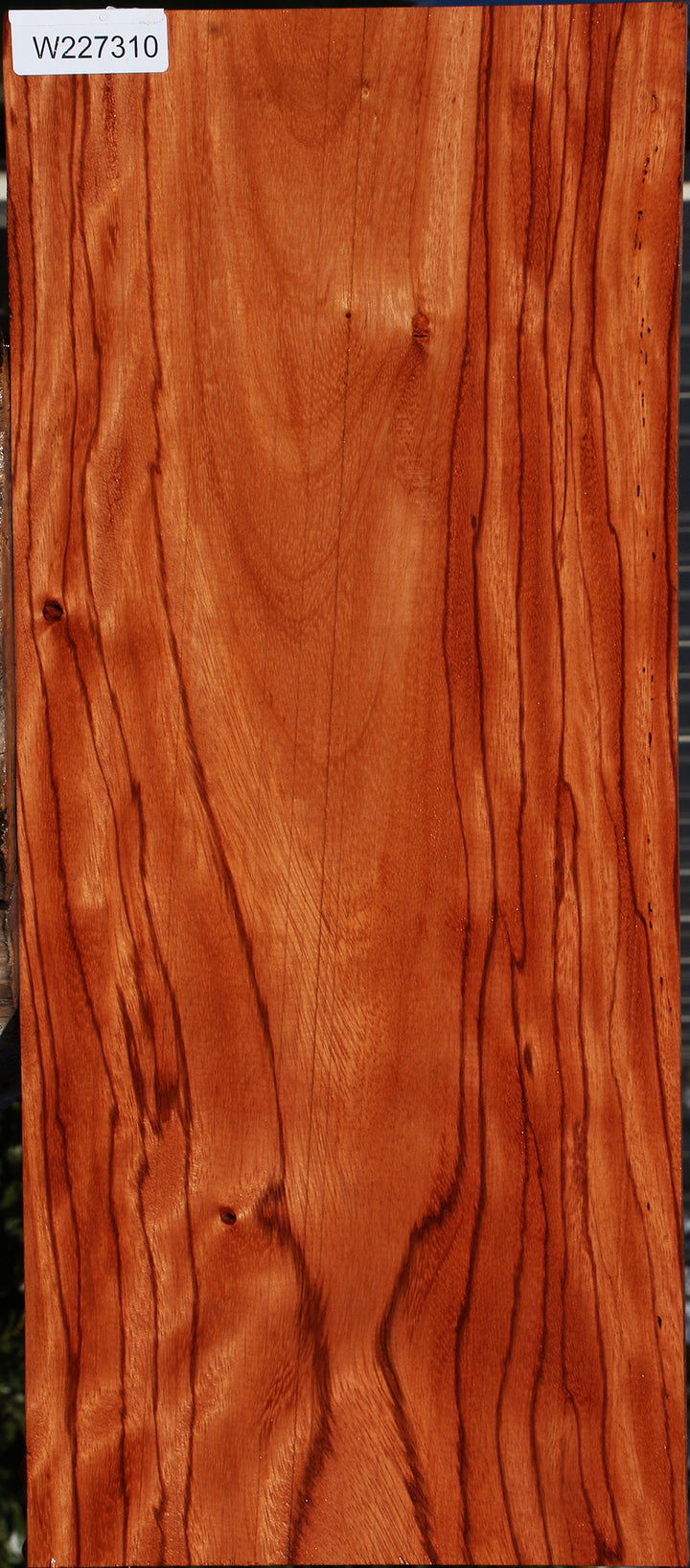 Ebiara – Cook Woods