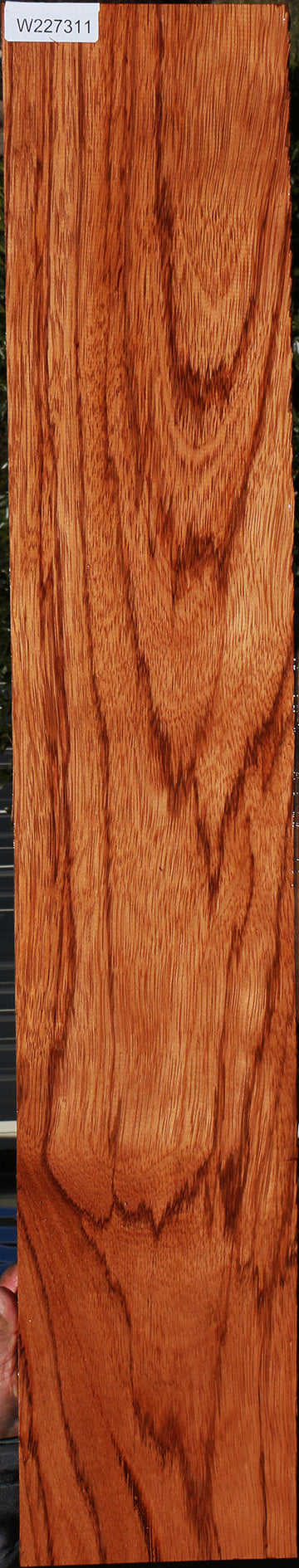 Ebiara – Cook Woods