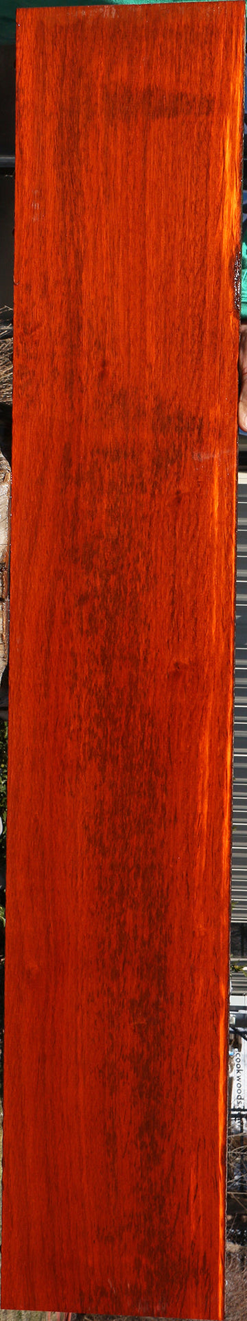 Padauk – Cook Woods