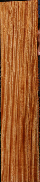 Instrument Wood – Cook Woods