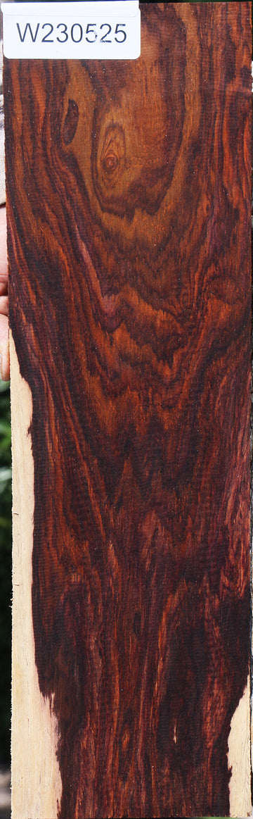 Cocobolo – Cook Woods