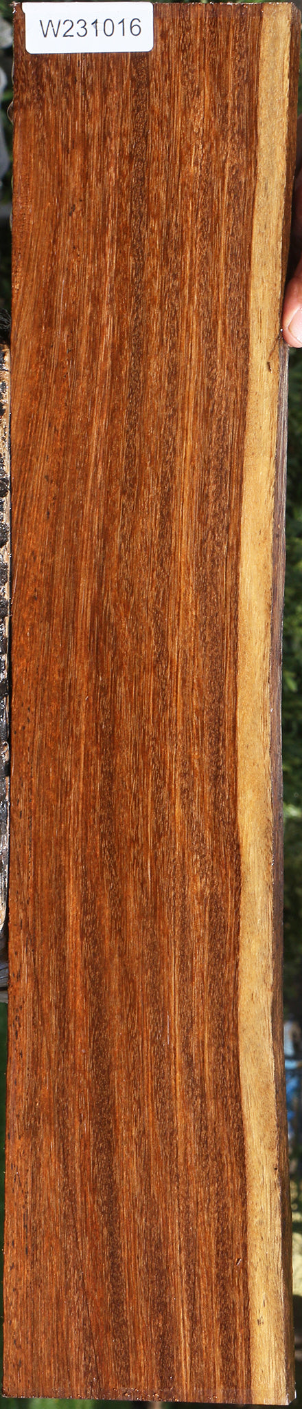 Figured Sucupira Live Edge Lumber – Cook Woods