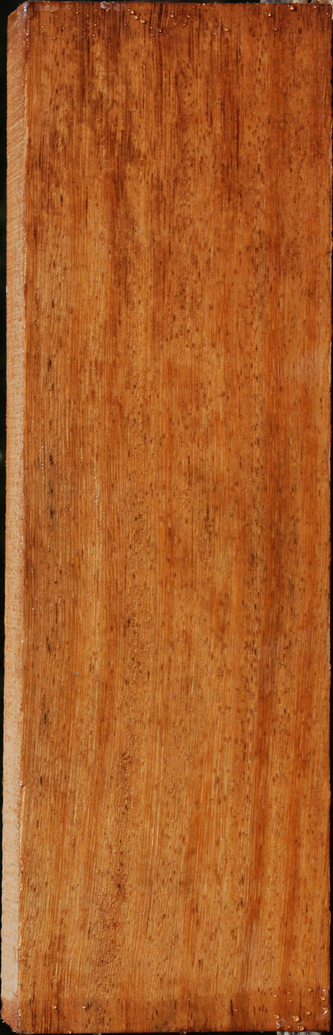 Figured Angelim Pedra Lumber – Cook Woods