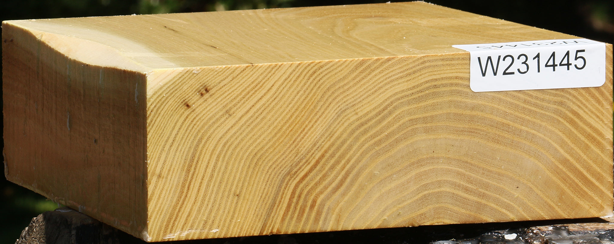 Black Locust Bowl Blank – Cook Woods