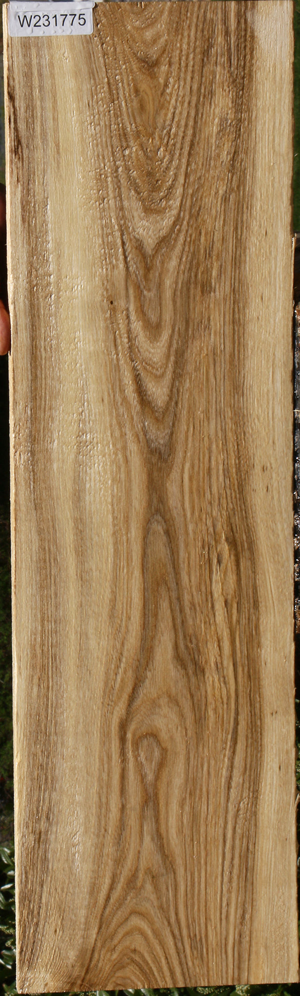 Extra Fancy Spalted Hackberry Lumber – Cook Woods