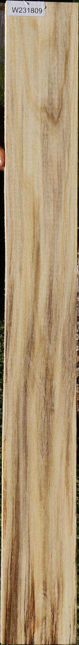 Spalted Hackberry Lumber – Cook Woods