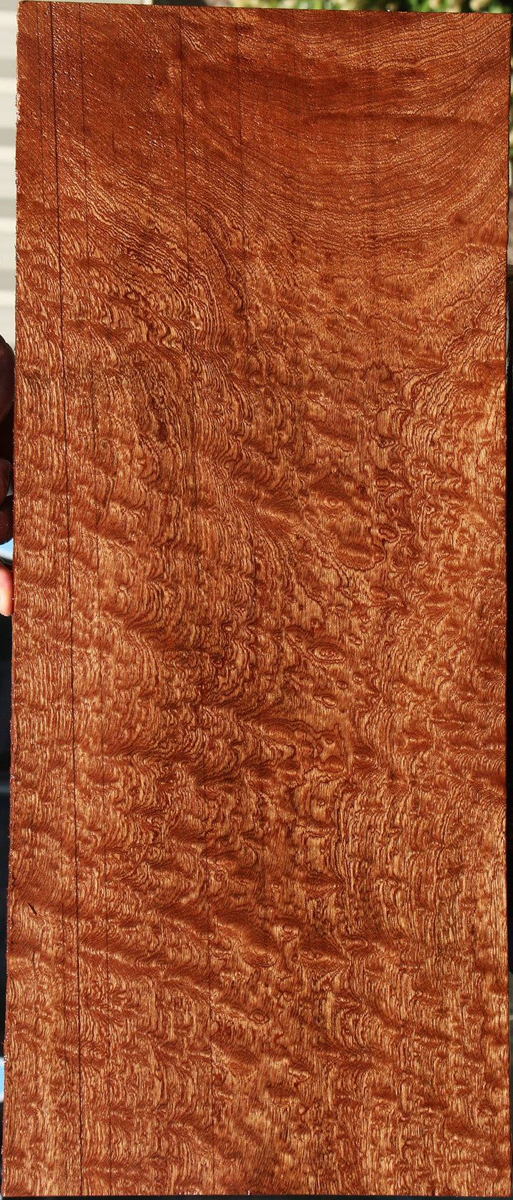 Sapele – Cook Woods