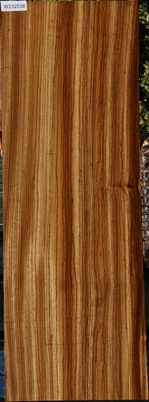 Zebra – Cook Woods