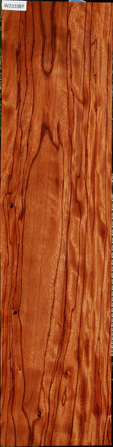 Ebiara – Cook Woods