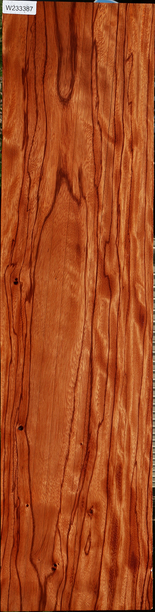 Ebiara – Cook Woods