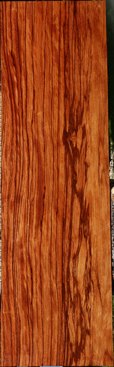 Ebiara – Cook Woods