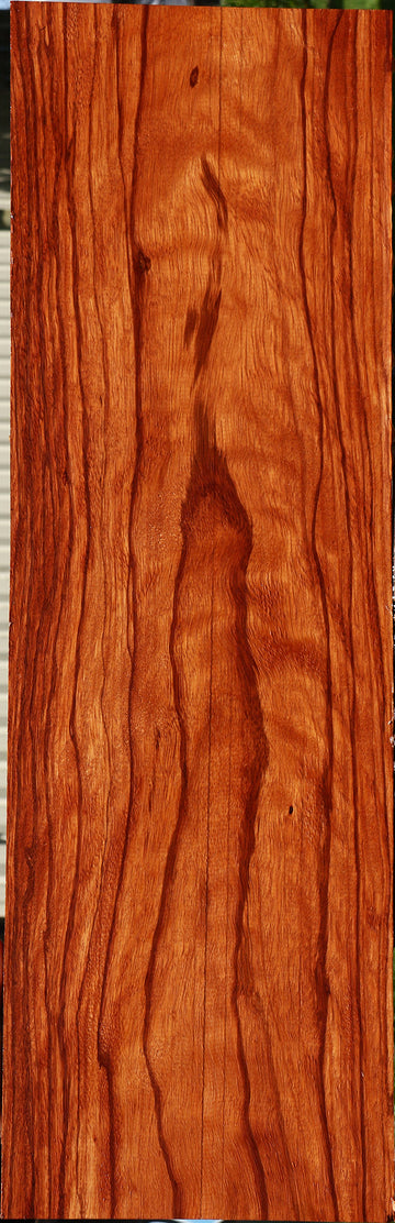 Ebiara – Cook Woods