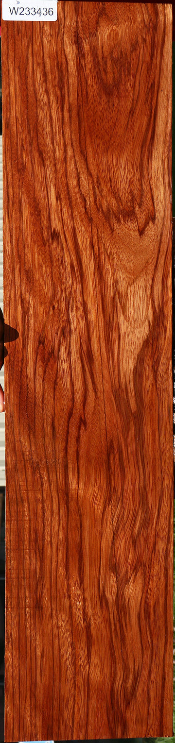 Ebiara – Cook Woods