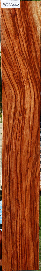 Ebiara – Cook Woods