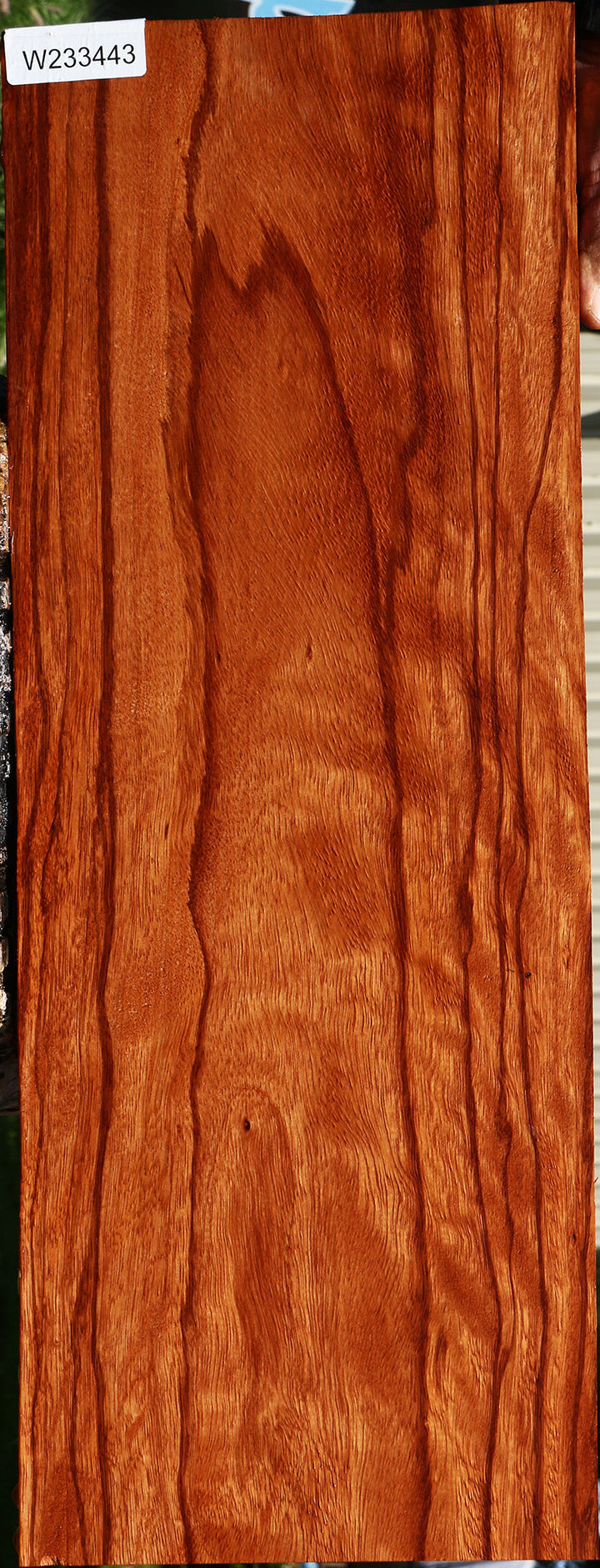 Ebiara – Cook Woods