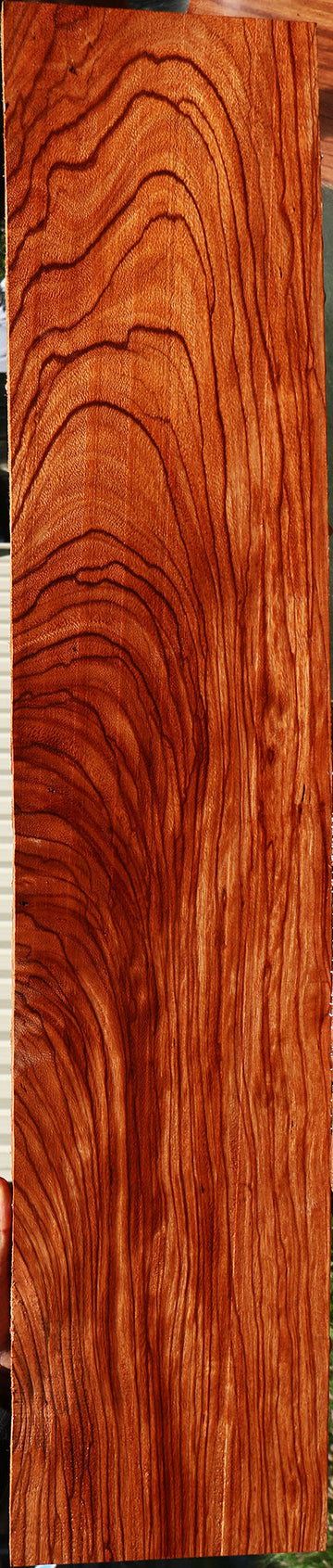 Ebiara – Cook Woods