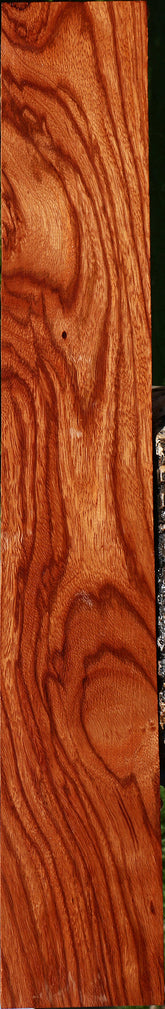 Ebiara – Cook Woods