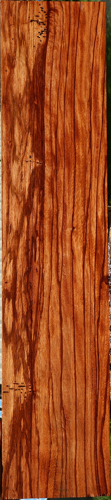 Ebiara – Cook Woods