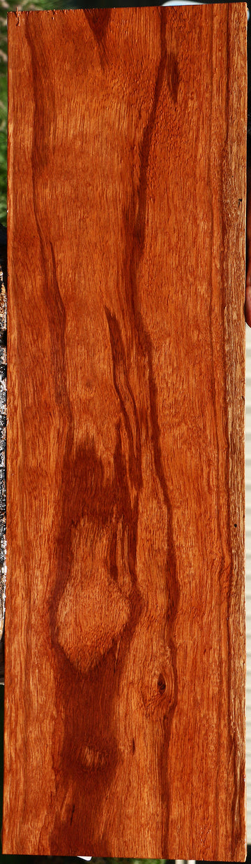 Ebiara – Cook Woods