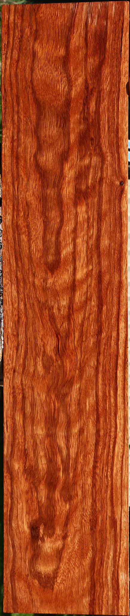 Ebiara – Cook Woods