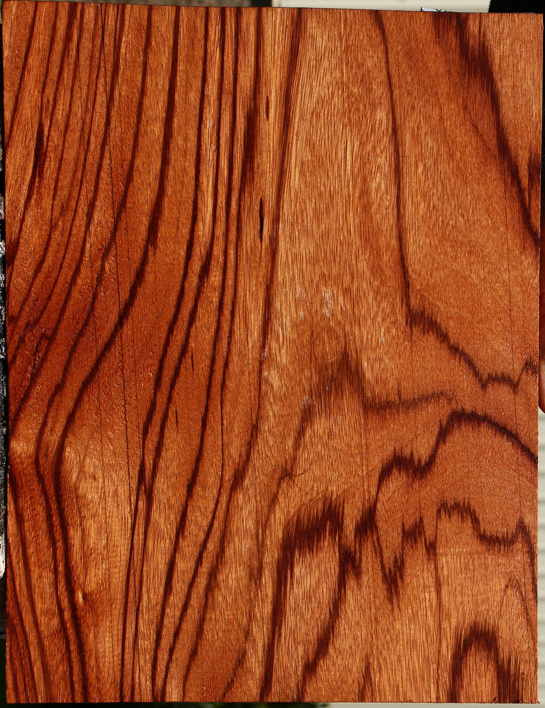 Ebiara – Cook Woods