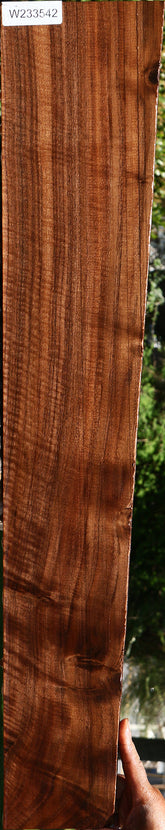 Walnut, Claro – Cook Woods