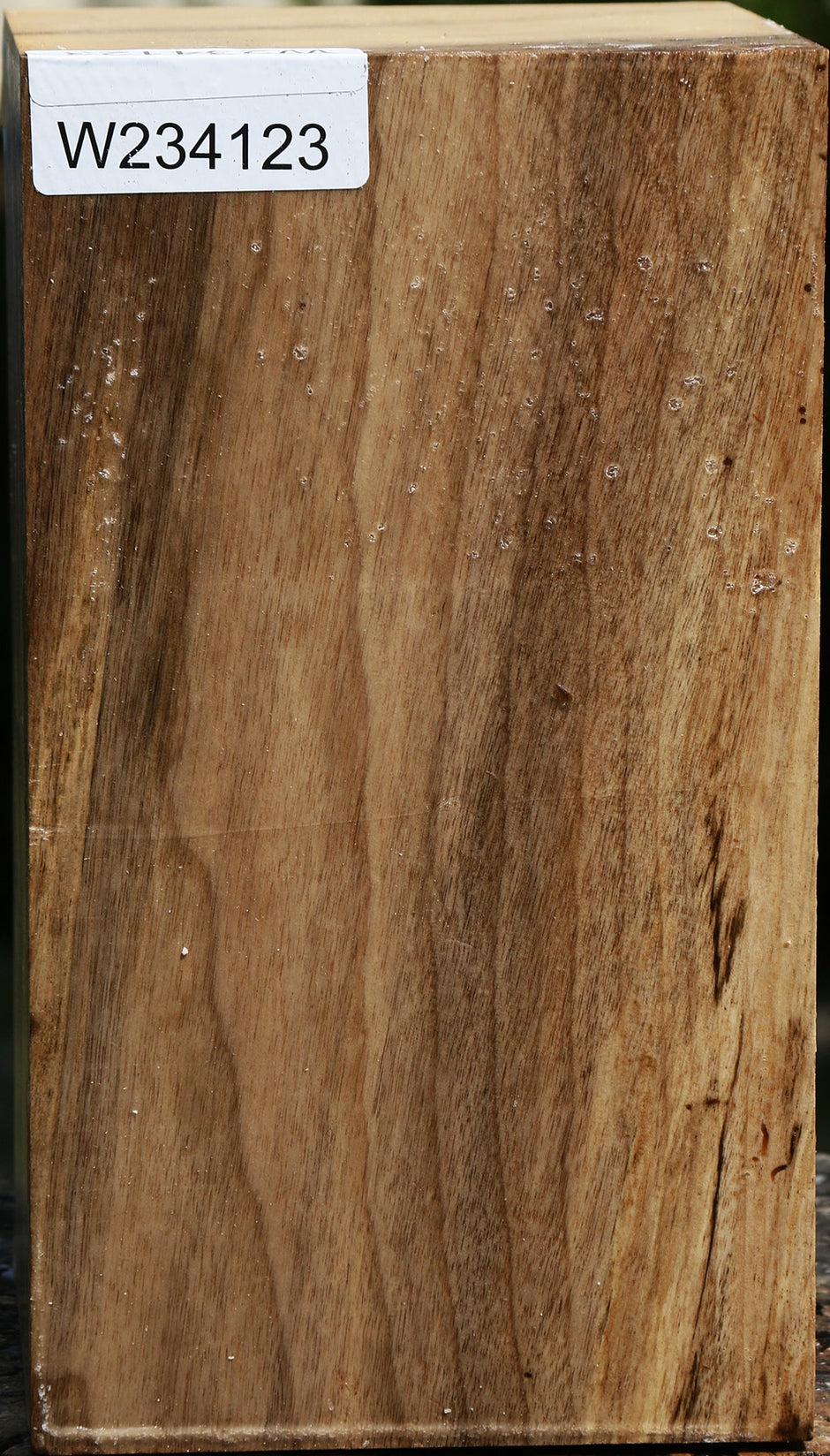 Myrtle – Cook Woods