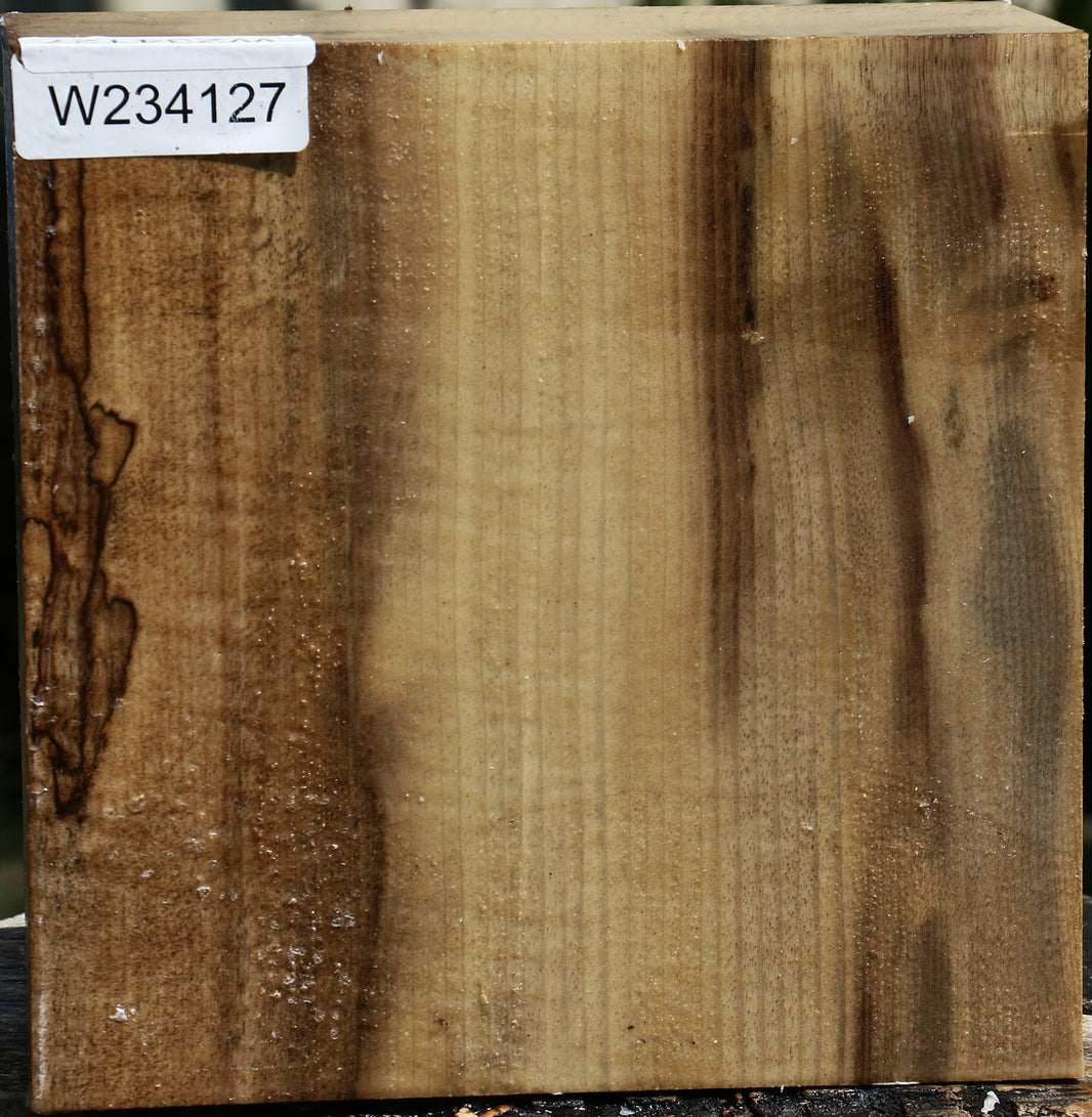 Myrtle – Cook Woods