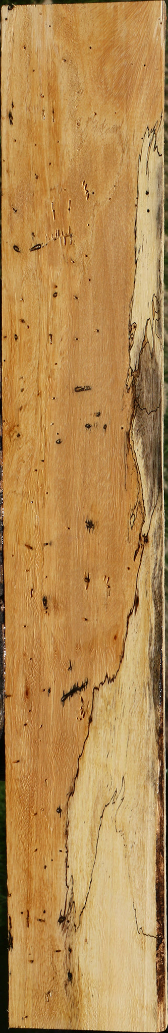 Spalted Tamarind Lumber – Cook Woods