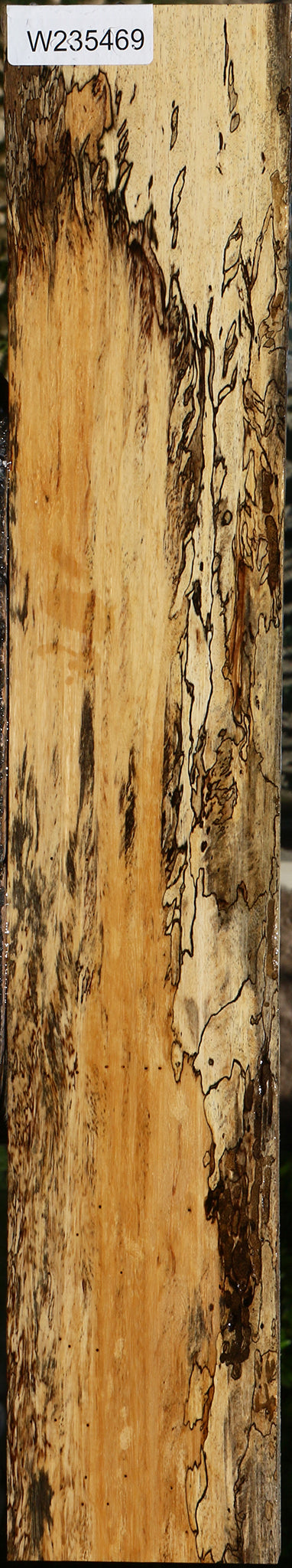 Extra Fancy Spalted Tamarind Lumber – Cook Woods