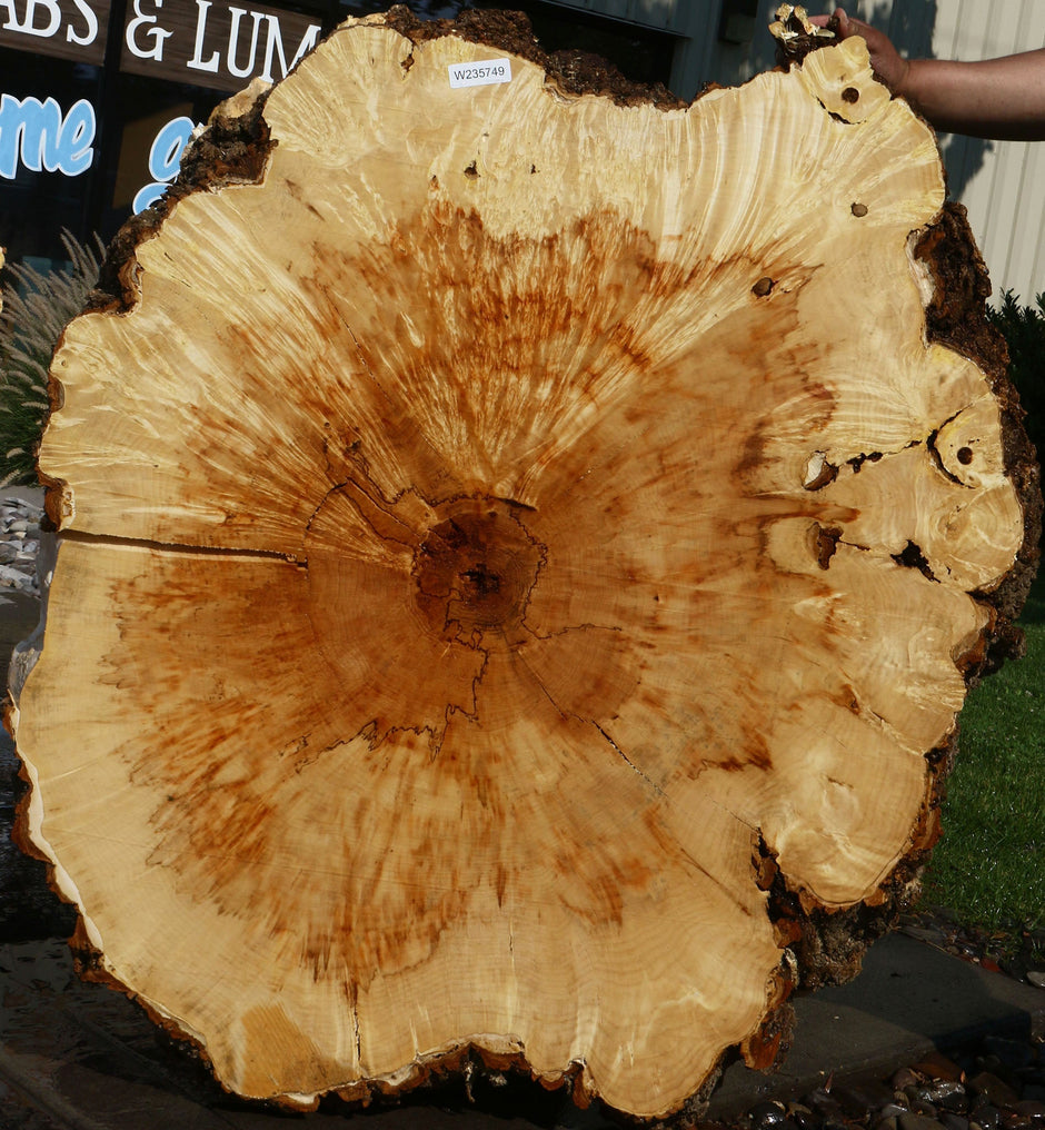 Box Elder – Cook Woods