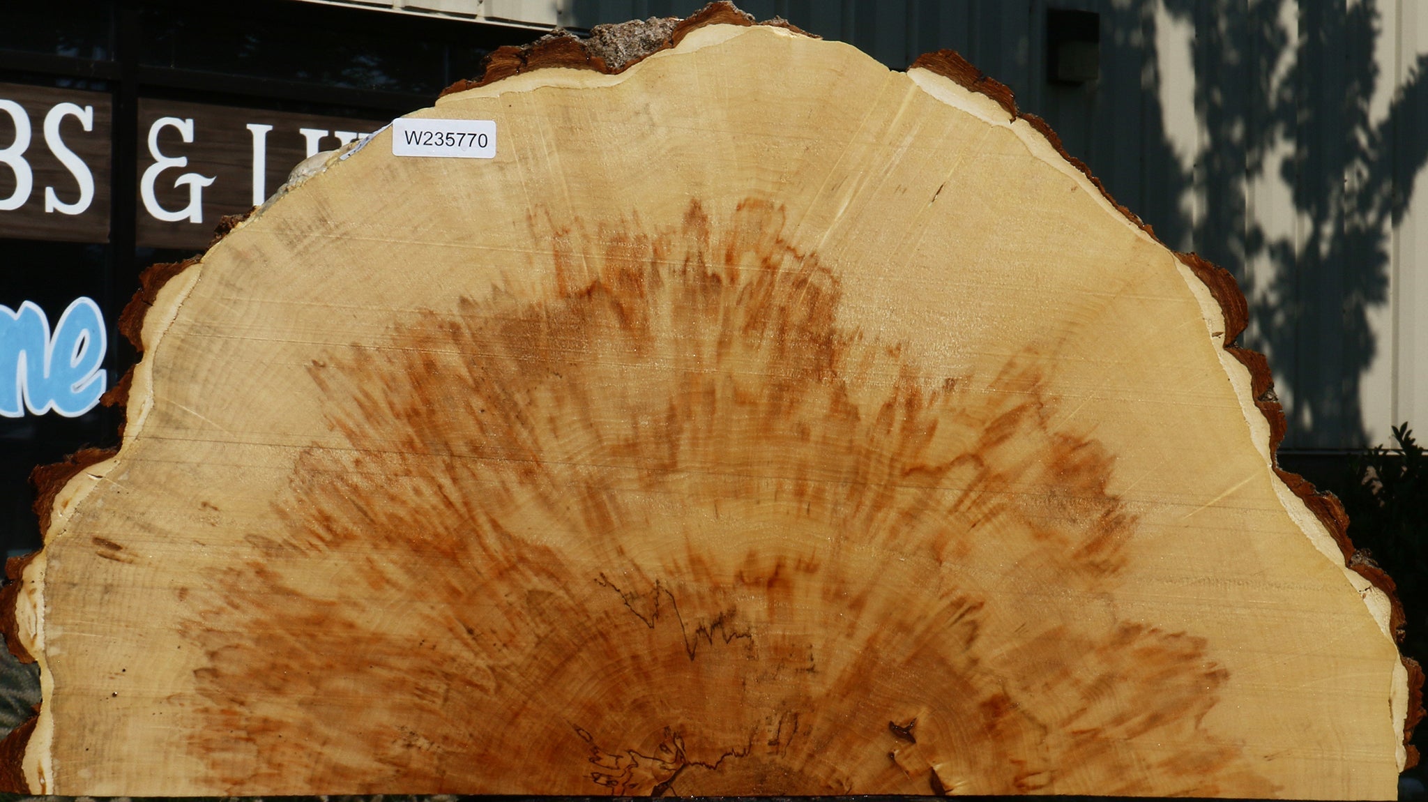 Extra Fancy Box Elder Slice – Cook Woods